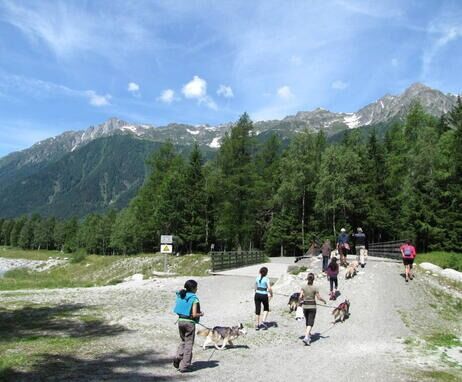 HIKE WITH A DOG - 2 hours - Easy - Hiking - Booking Chamonix